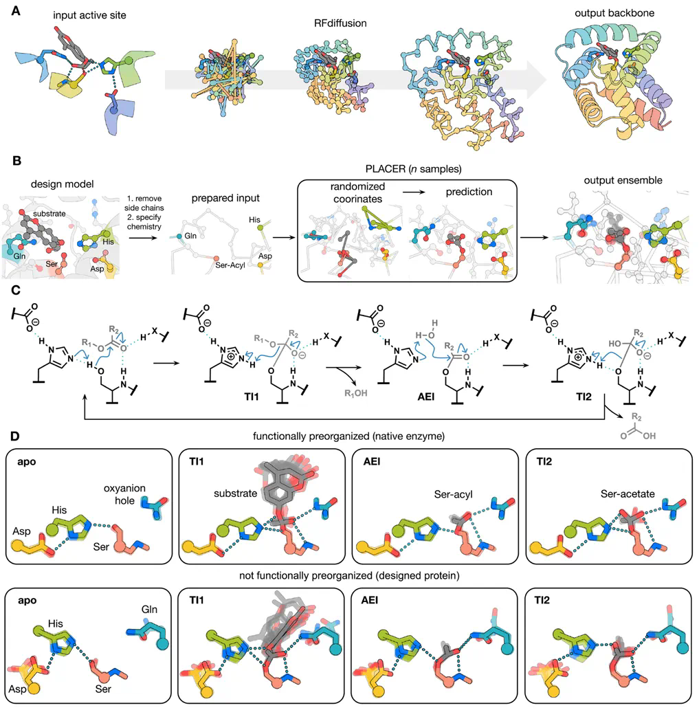 Science新登，David Baker团队用AI从头设计栩栩如生的酶，比同类设计好6万倍 - 一起AI技术